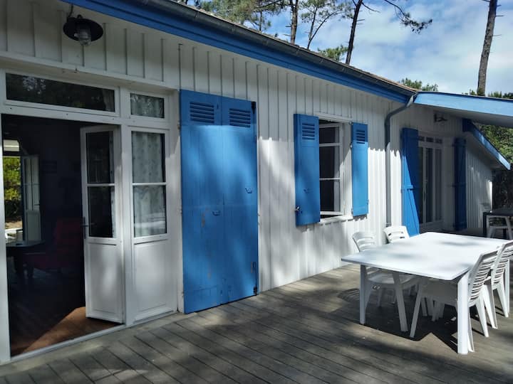 Maison Sous Les Pins Dans Les 44 Hectares - Cap Ferret