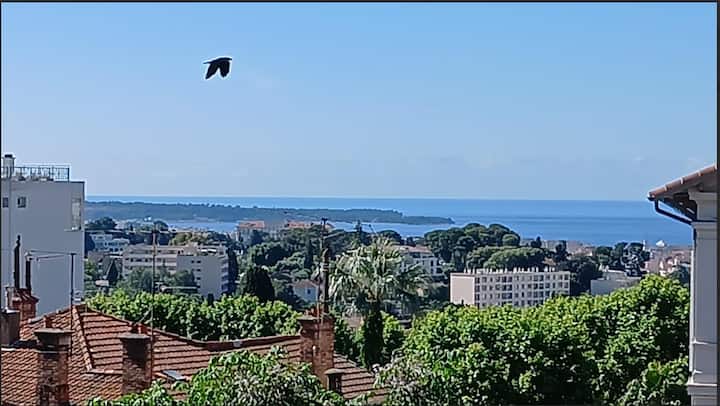 Studio Avec Terrasse - Le Cannet