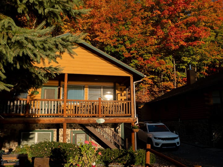 General Burgoyne - Hague, NY