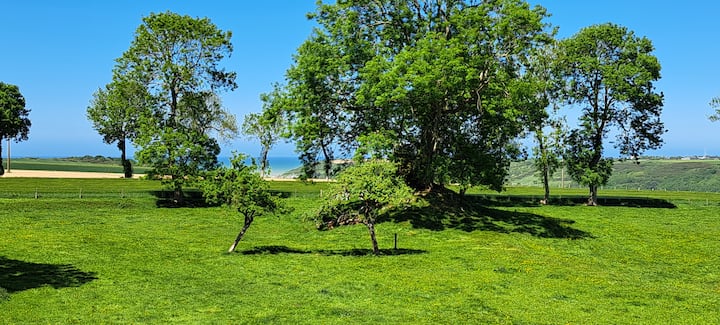 Maison Rurale Vue Mer 3 Chambres - Saint-Valery-en-Caux