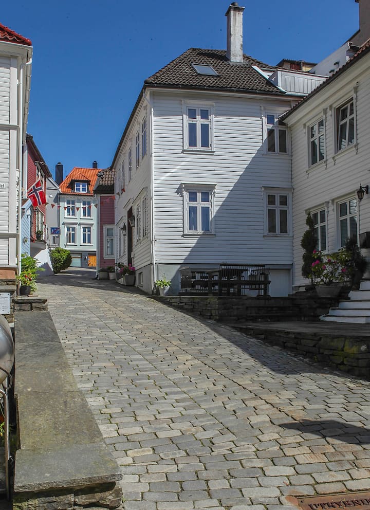 Koselig Moderne Kjellerleilighet - Bergen