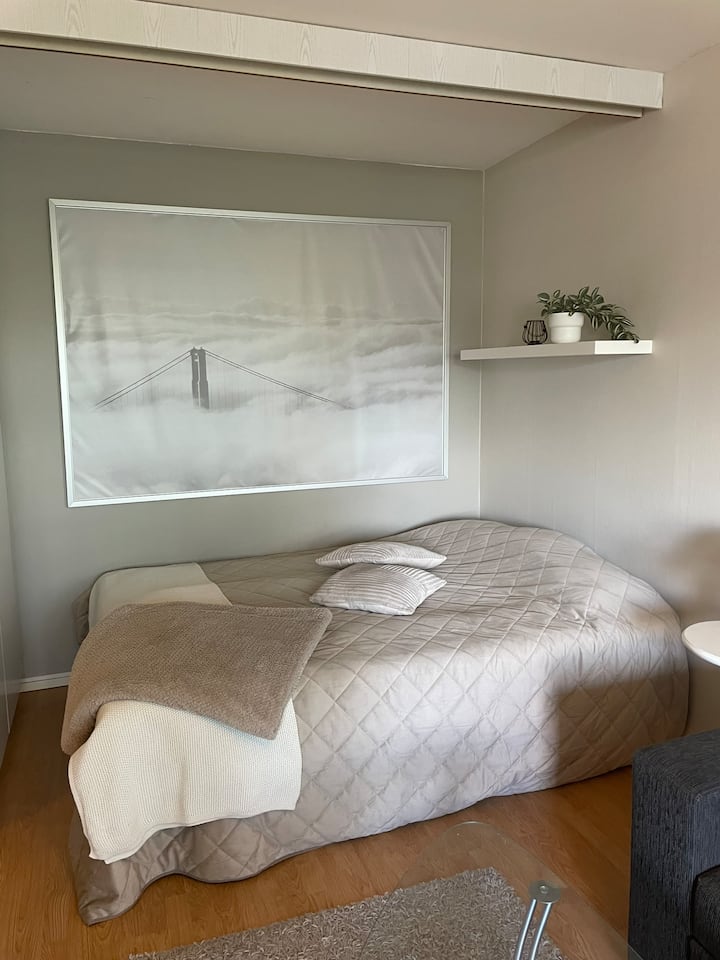 Siisti Yksiö Lähellä Keskustaa - Tampere