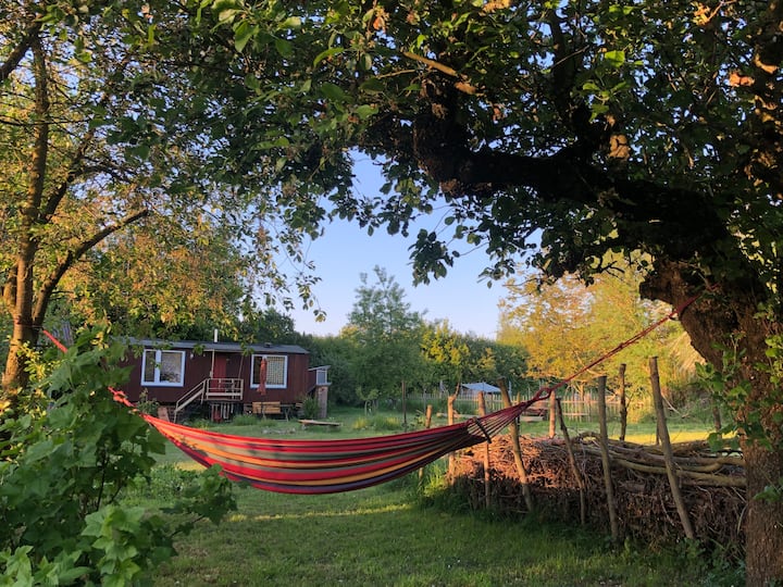 Wilde Möhre Bauwagen Sommerküche Kinder Abenteuer - Brandenburg