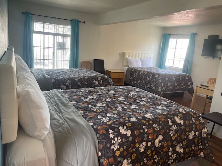 Cow Palace Geneva Inn - 브리즈번