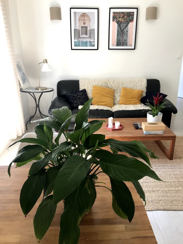 Charmant Appartement De 2 Pièces - Nizza