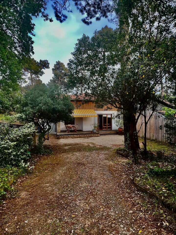 Maison Chaleureuse à Piraillan - Lège-Cap-Ferret