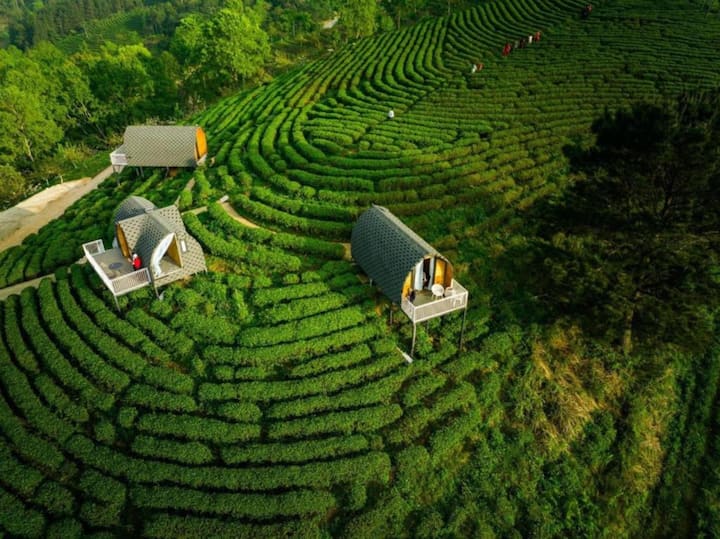 Family Bungalow- Kolia Resort - Tỉnh Cao Bằng