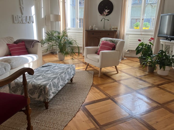 Beautiful Apartment In Old Town. - 니옹