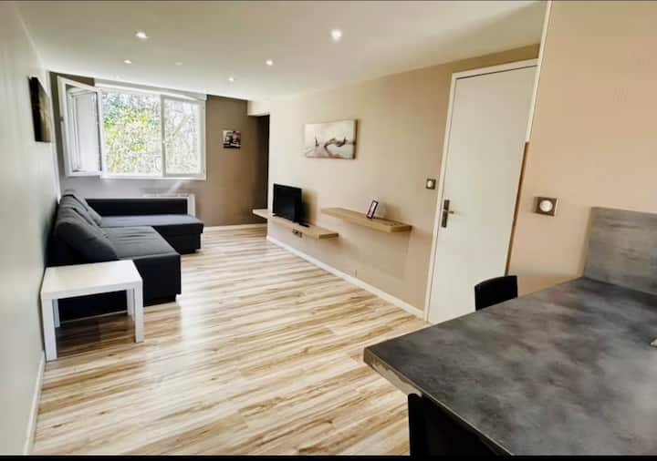 Grand T2 Duplex Pour 4 + Parking - Toulouse-Blagnac Airport (TLS)