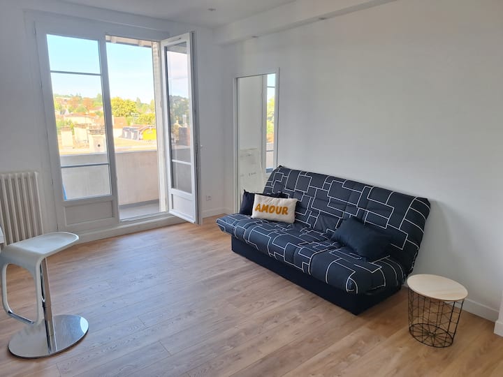 F3 Lumineux & Balcon 60m2 - Montmorency