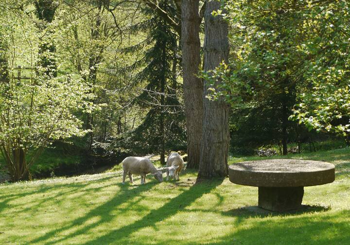 Grand Gite Rural - Fourmies
