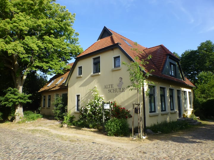 Alte Schule - Klassenraum - Rerik