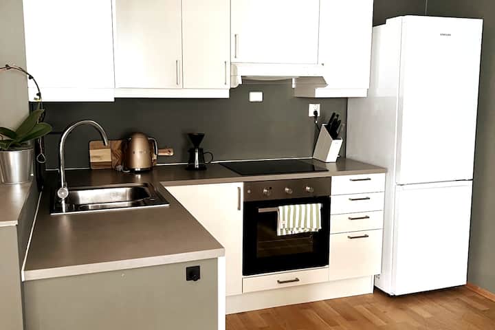 Lekker 2-roms, Sentralt I Oslo - Oslo