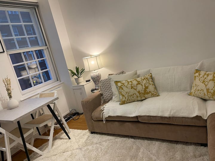 Marylebone High Street Apartment - Marylebone