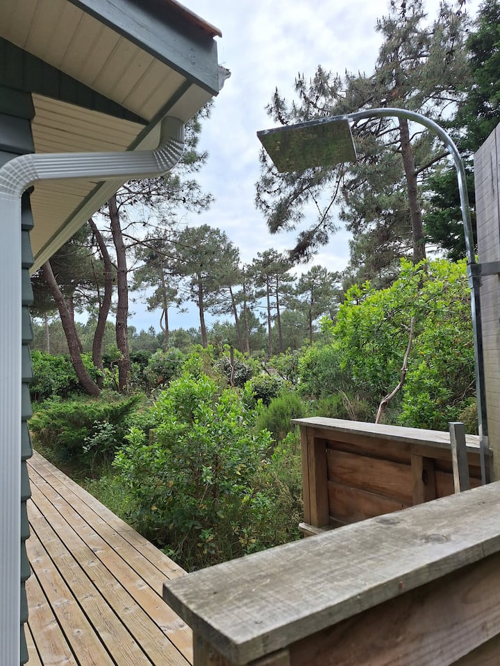 Grand Bungalow 4/5 Personnes - Plage Vensac