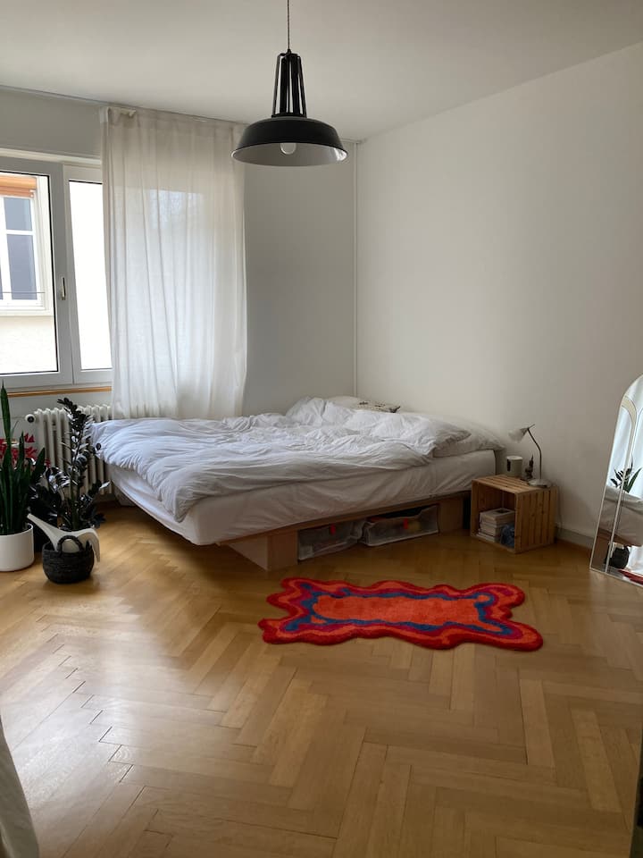 1-zimmer Wohnung Mit Balkon - 巴塞爾
