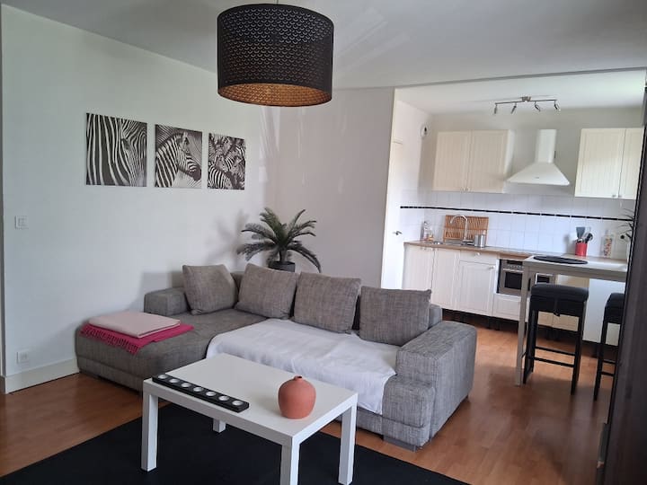 Appartement Pour 4 Avec Balcon Bassin D’arcachon - Gujan-Mestras