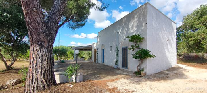 La Stradella Ostuni "Country" - Cisternino
