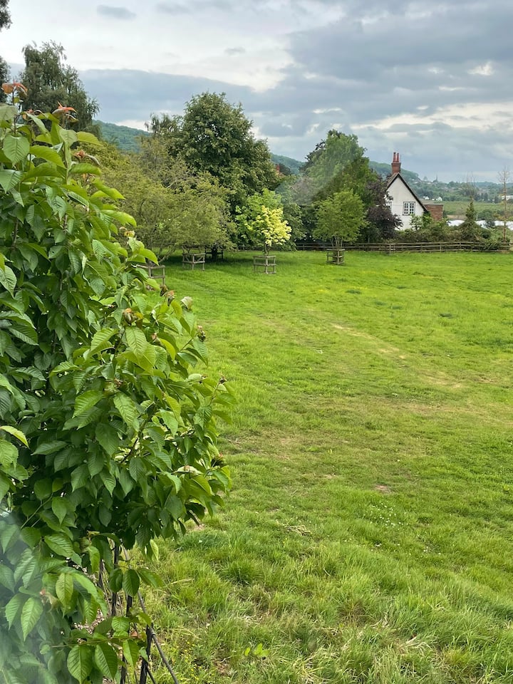 Uplands Orchard Cottage - Ledbury