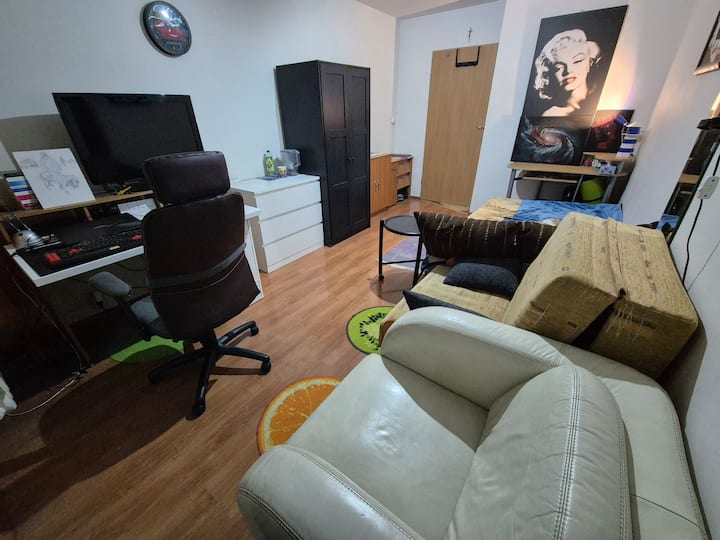 Spacious Cosy Room - Wrocław - Wroclaw