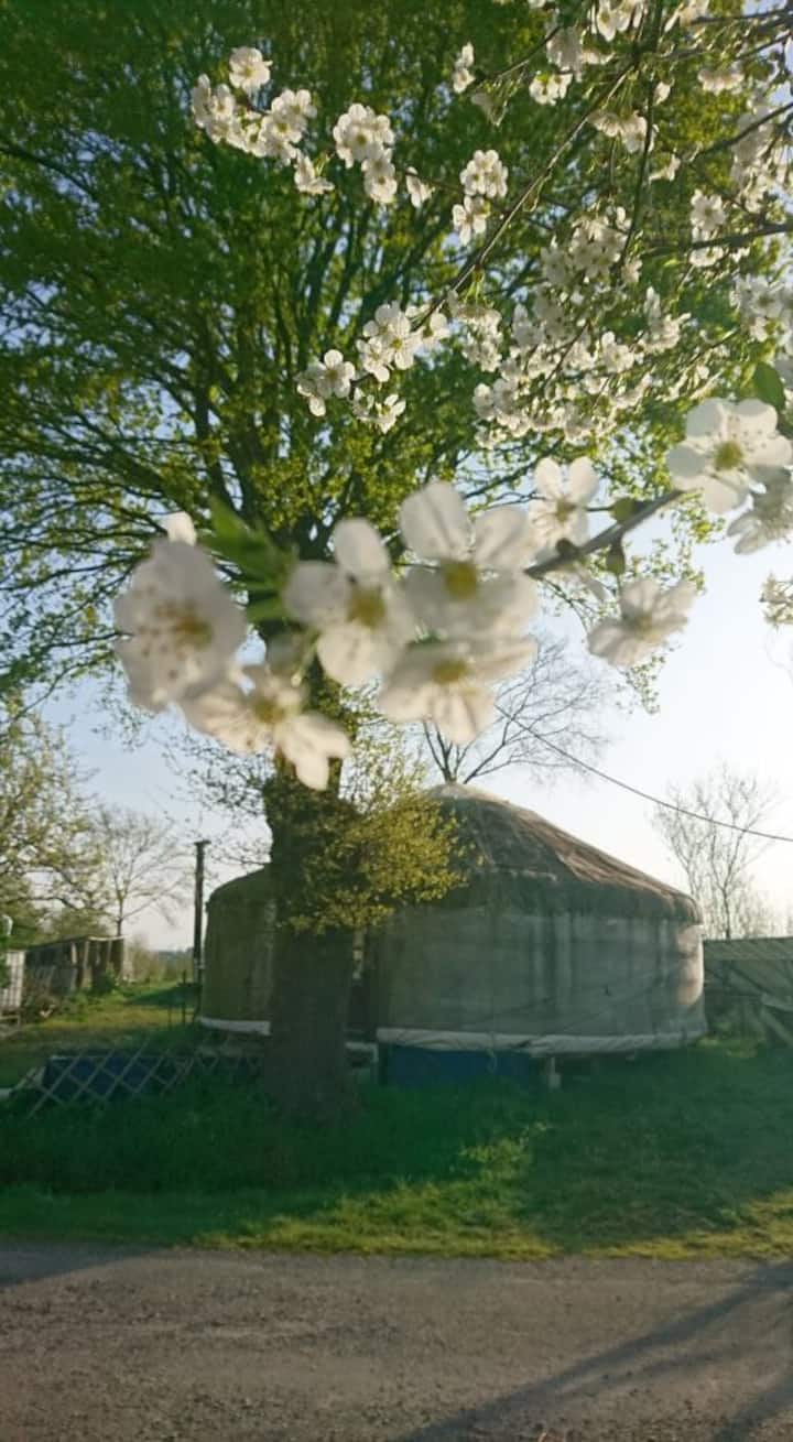 Yourte En Campagne Bretonne - Bain-de-Bretagne