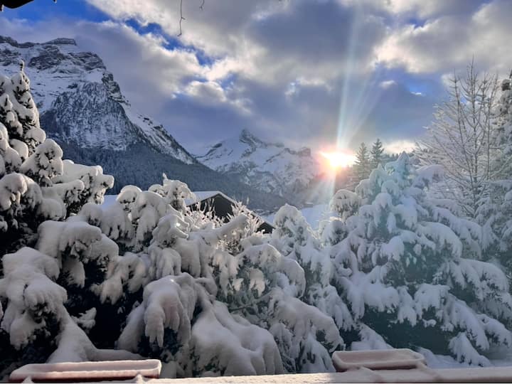 Chalet Near Gstaad - Lauenen