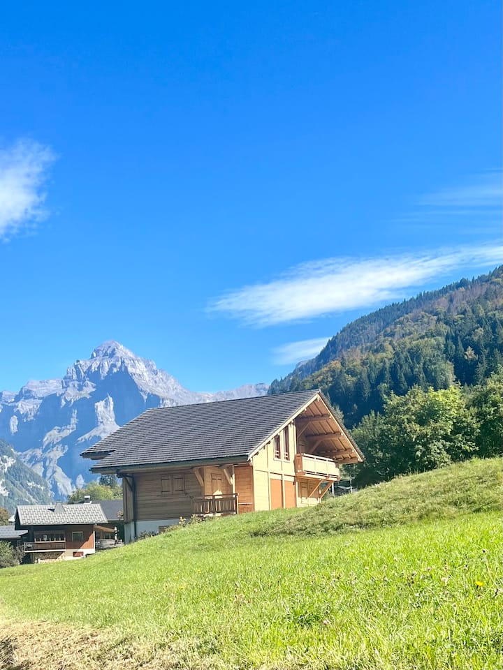Chalet Des Cascades - Flaine