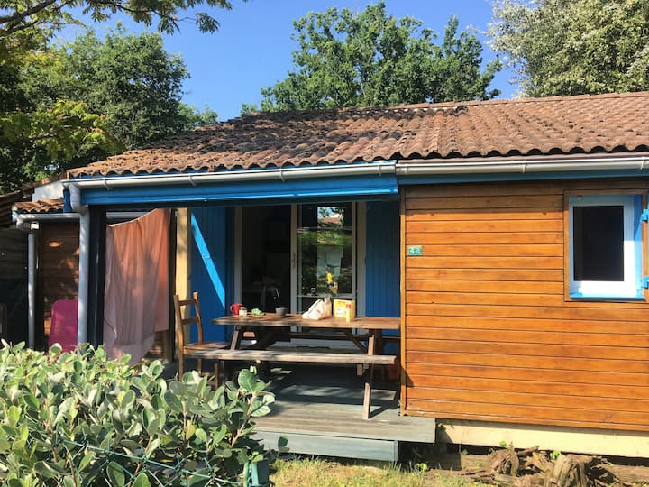 Chalet Avec Jardin/terrasse - Hourtin