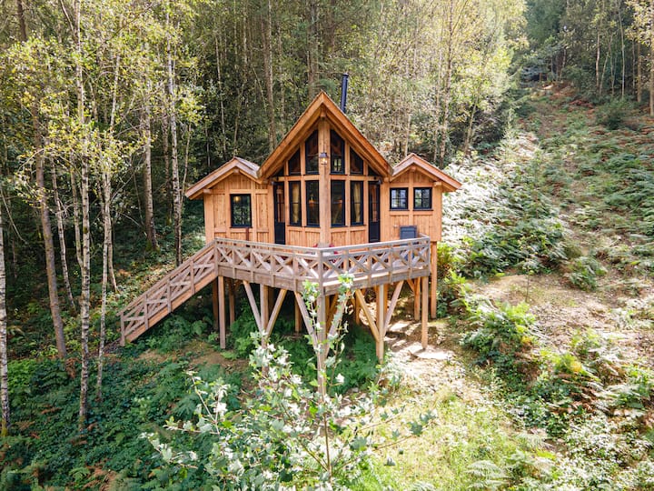 La Cabane De Theodora - Vresse-sur-Semois