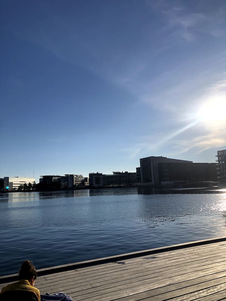 Skønt Roligt Værelse Tæt På Vand - Copenhague