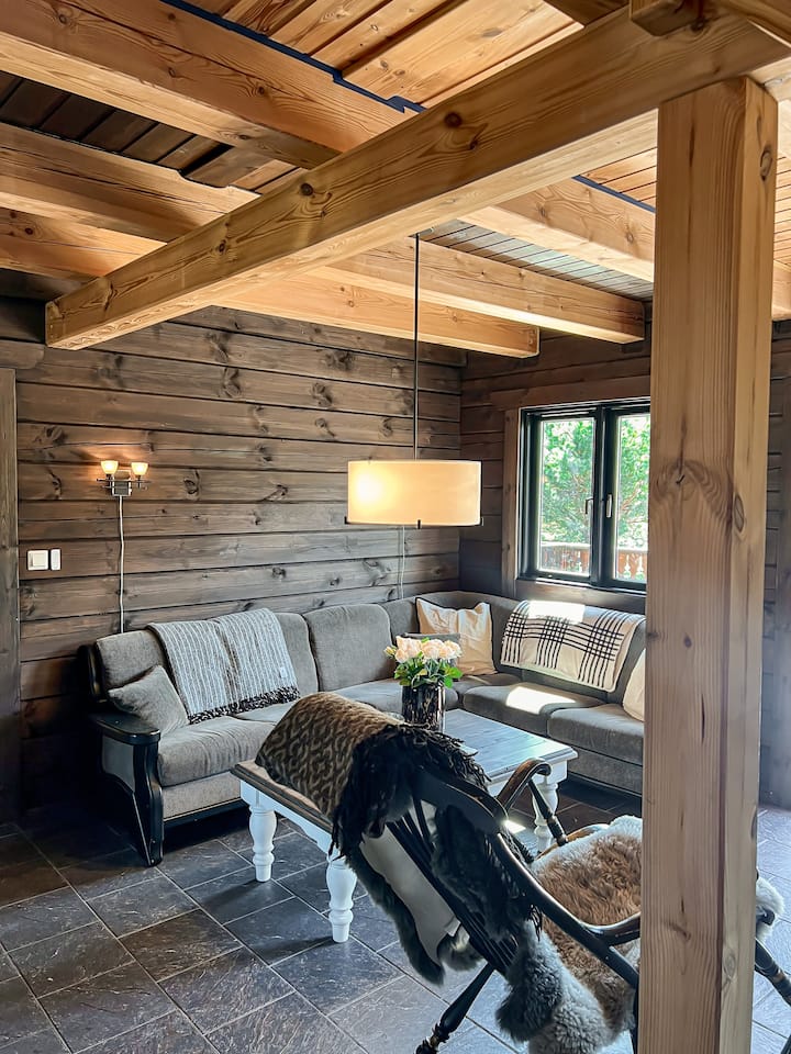 Ski In/out I Vrådal - Norway