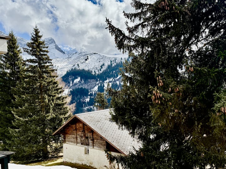 92 Grand Chalet Familial / 8 Pax - Gryon
