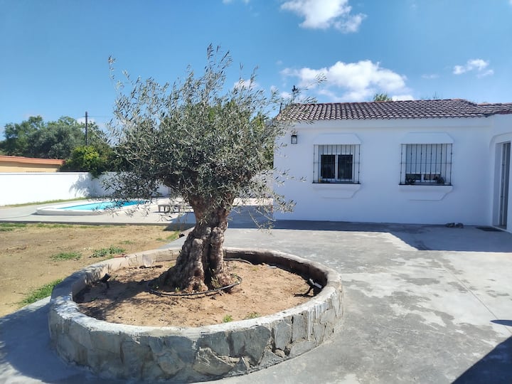 Eliá Stylish Holiday Chalet With Private Pool, Bbq - Chiclana de la Frontera