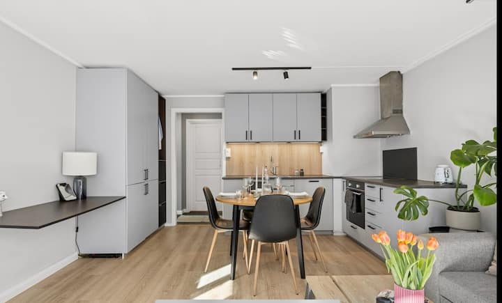 Koselig Og Moderne Leilighet I Kvadraturen - Kristiansand