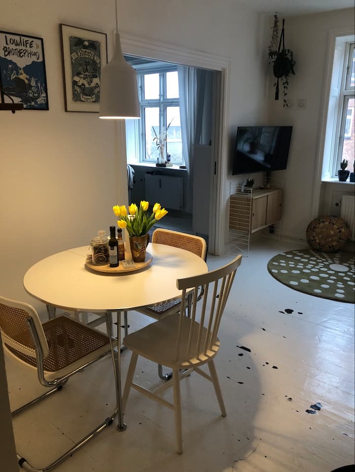 Familievenlig Lejlighed - Copenhagen