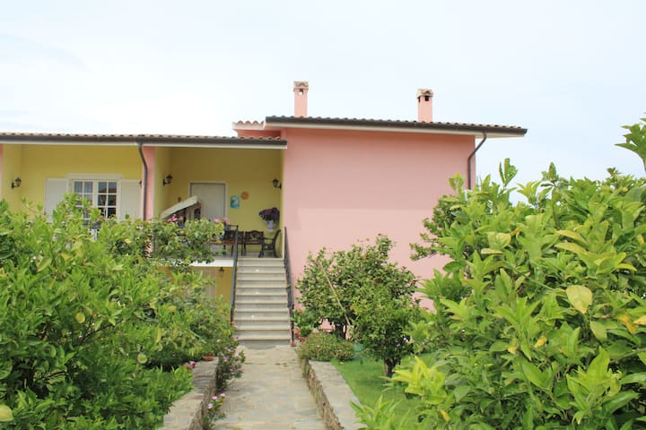 Appartamento Rosa Bianca - Budoni