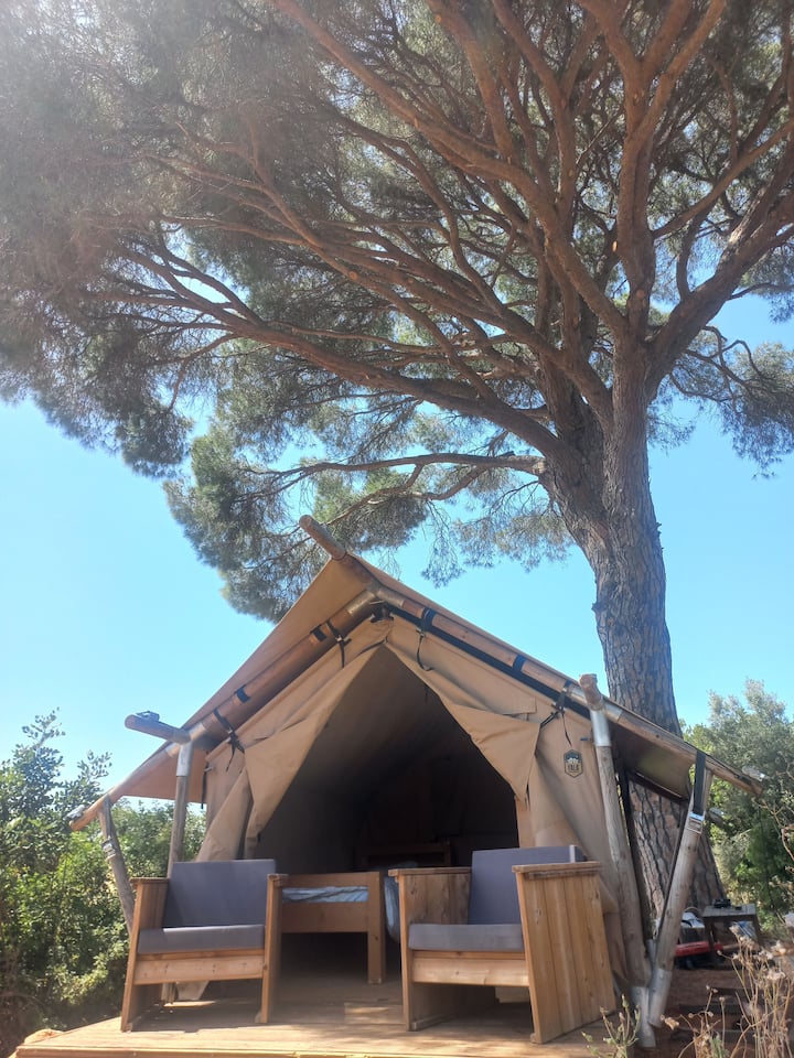 Tenda Da áRvore 1 - Carvoeiro