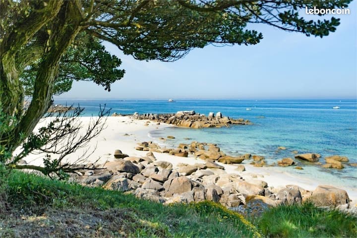 Grand Appartement Proche Mer - Plouescat