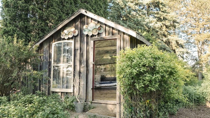 Farm Stay: Chickens And Charm - Bradford, ON, Canada