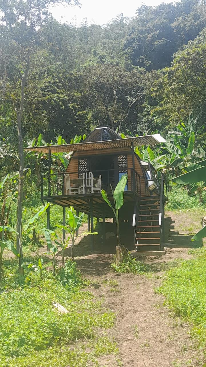 Tiny Home Islandia - La Vega