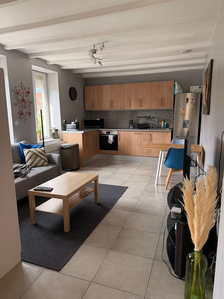 Appartement Cozy Lille - Lille