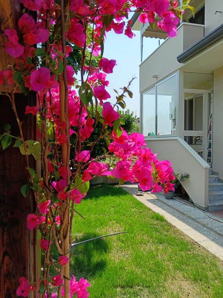 Casa Lori - Marina di Pietrasanta