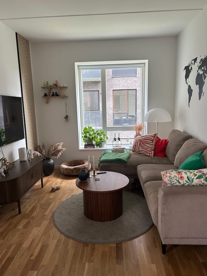 Skøn Lejlighed I Odense - Odense