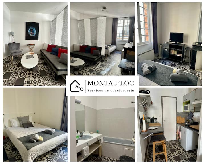 L’appartement Du Centre - ibis Montauban