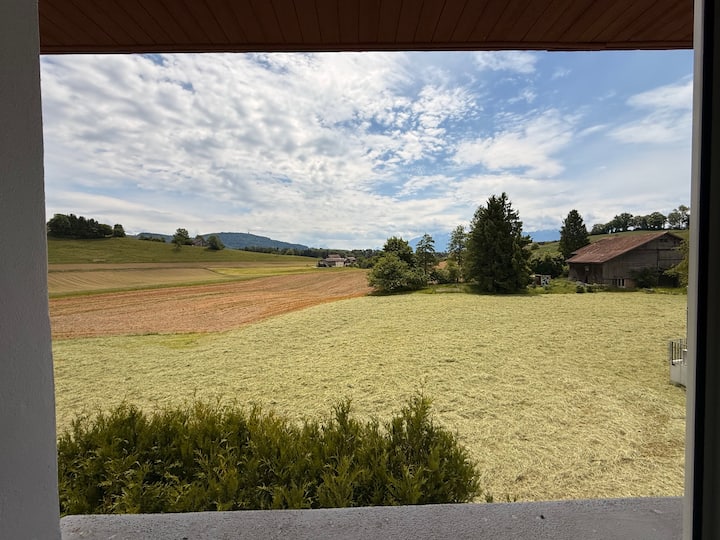 2 Pièces Neuf à Forel - Vevey