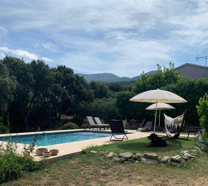 Location Vacances Furiani - Bastia