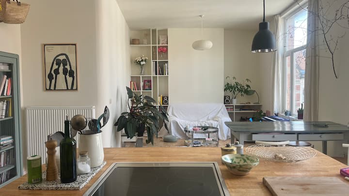 Appartement Lumineux Et Chaleureux - Bruxelles