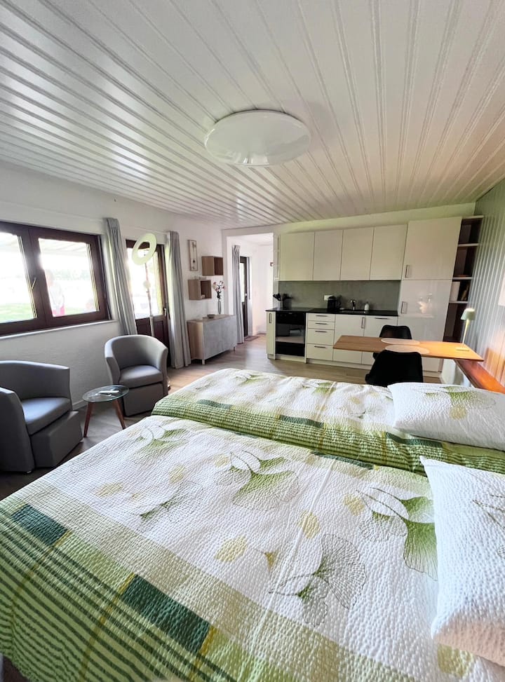 Magnifique Studio Avec Vue - Nyon