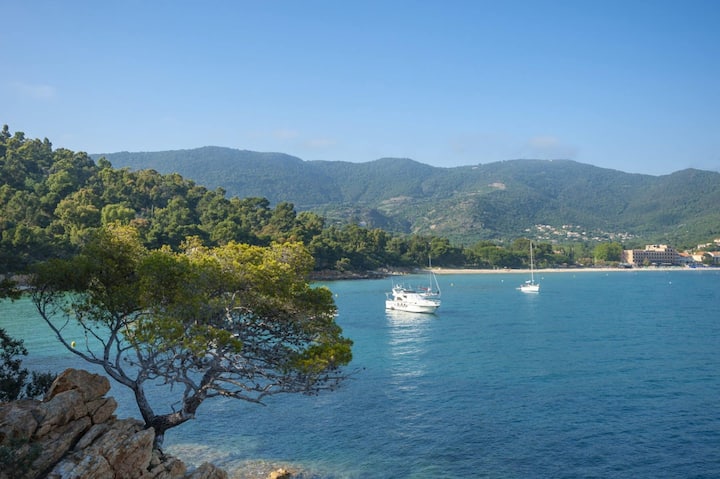 Studio Cabine Rez De Jardin - Le Lavandou