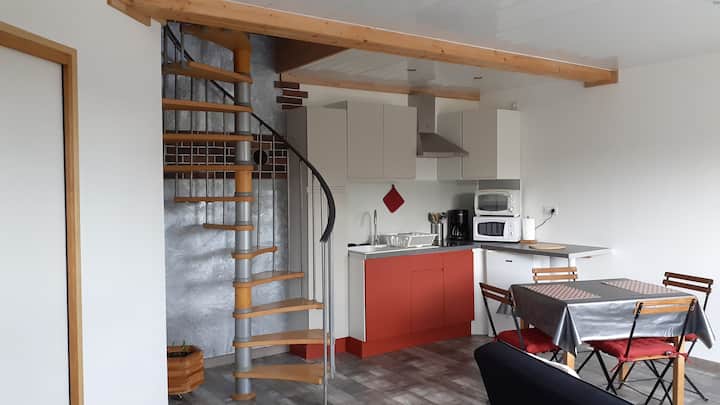 Duplex Lumineux Au Calme - Le Mans